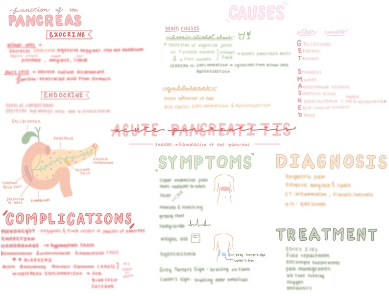 Acute Pancreatitis Notes [PDF] - Etsy