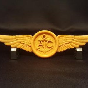 3D USCG Air Crew Insignia ~ US Coast Guard. Chief, Hat Box, CCTI ...