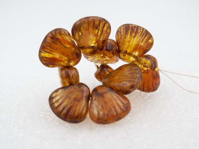 Glass 15mm Shell Beads Deep Amber Picasso Seashell Beads - Etsy