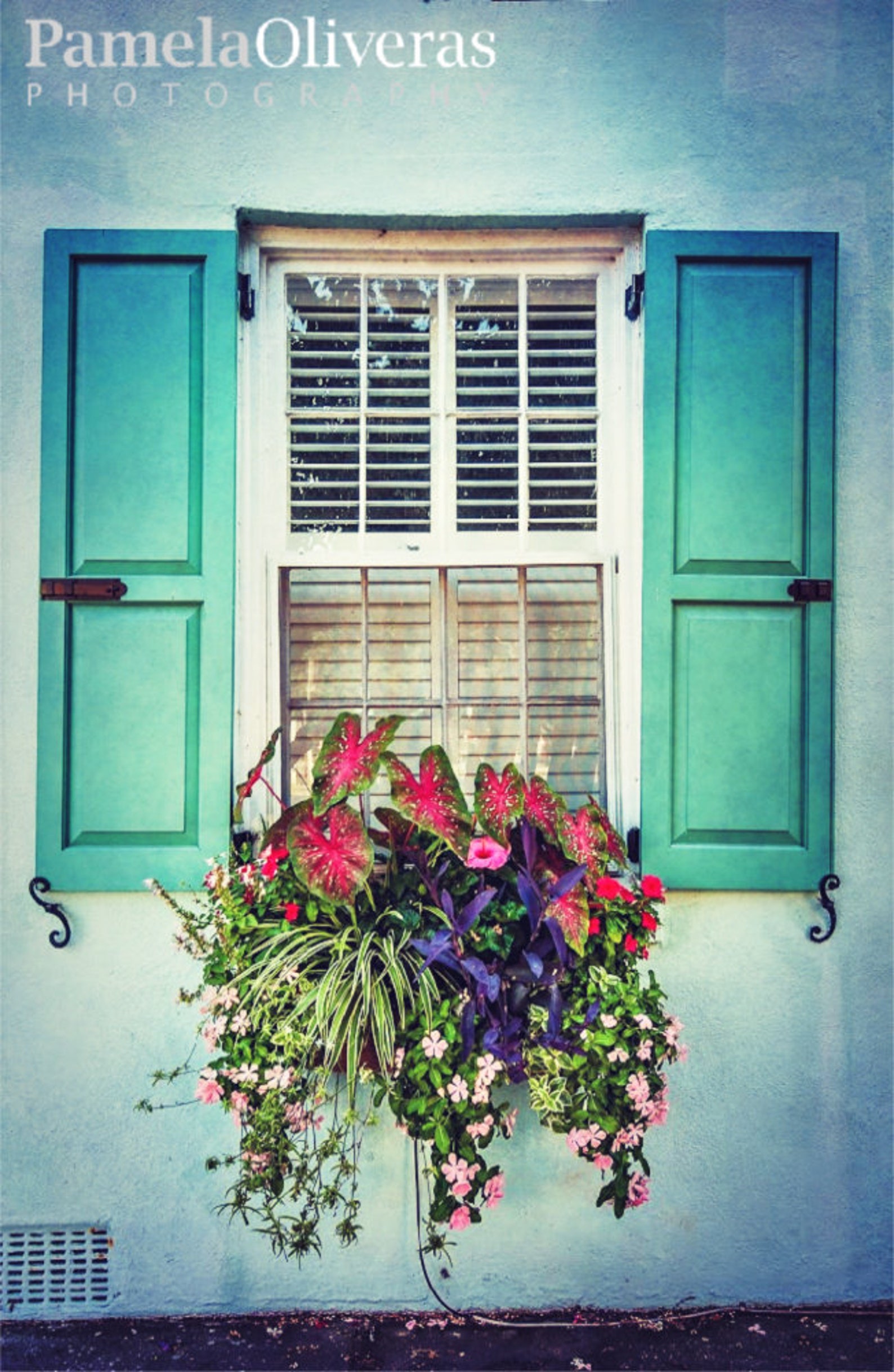 Charleston Window - Etsy