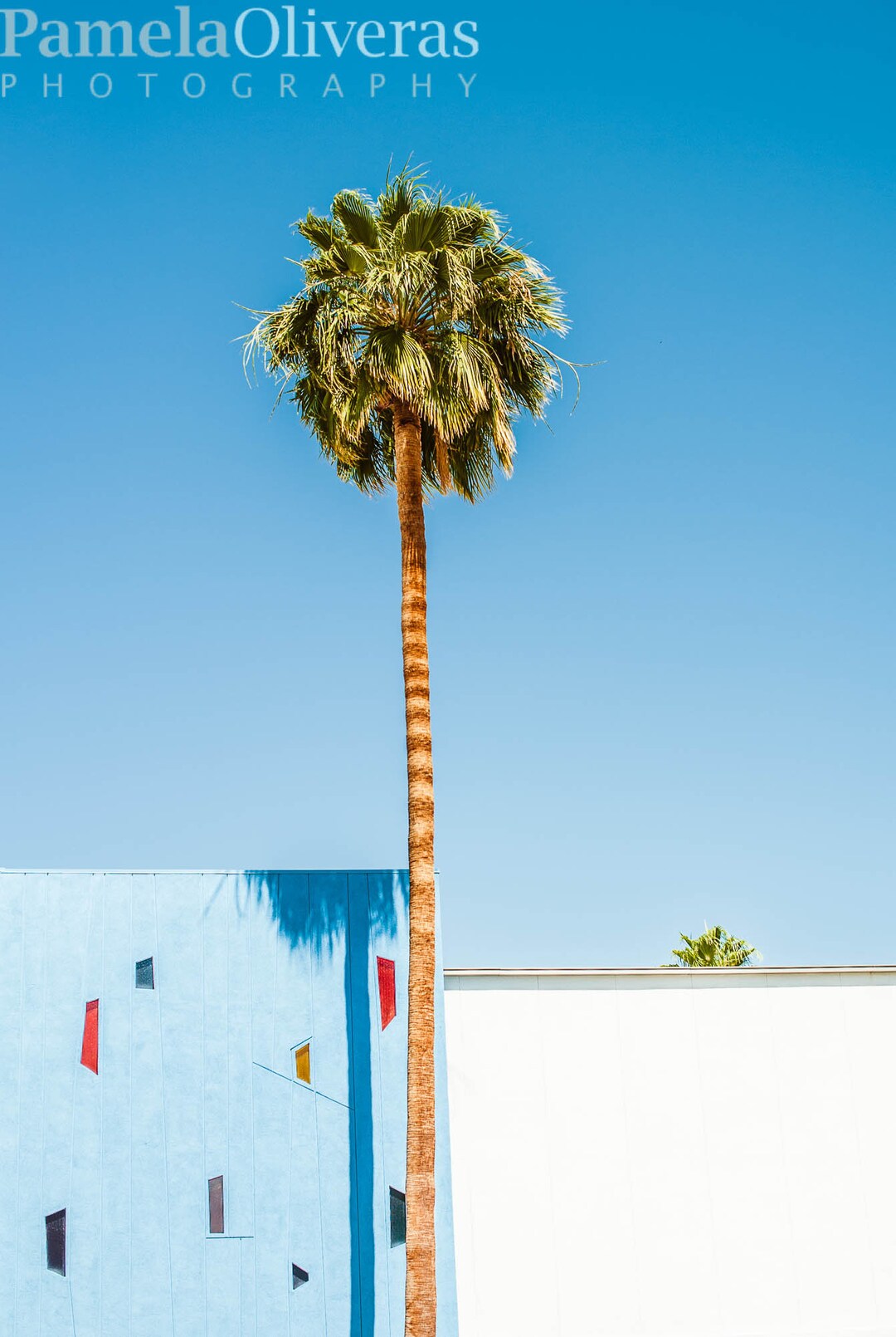 Palm Springs Print, Palm Springs Photography, Palm Springs, the Saguaro ...