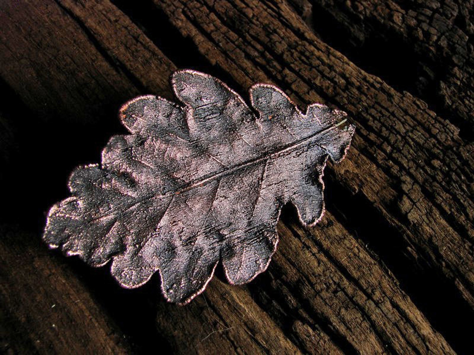 Oak Natural Leaf Electroformed Brooch Metalwork Unique Retro - Etsy