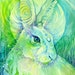 Hare Spirit Animal Art Print / A3 - Etsy UK