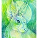 Hare Spirit Animal Art Print / A3 - Etsy UK