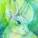 Hare Spirit Animal Art Print / A3 - Etsy UK