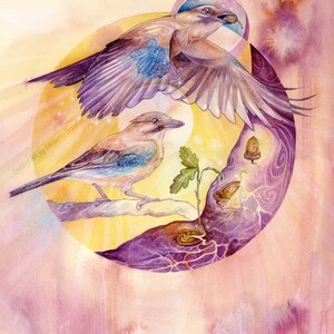 Spirit Animal Jay Bird Medicine Art Print / Shamanic Power Retrieval - Etsy