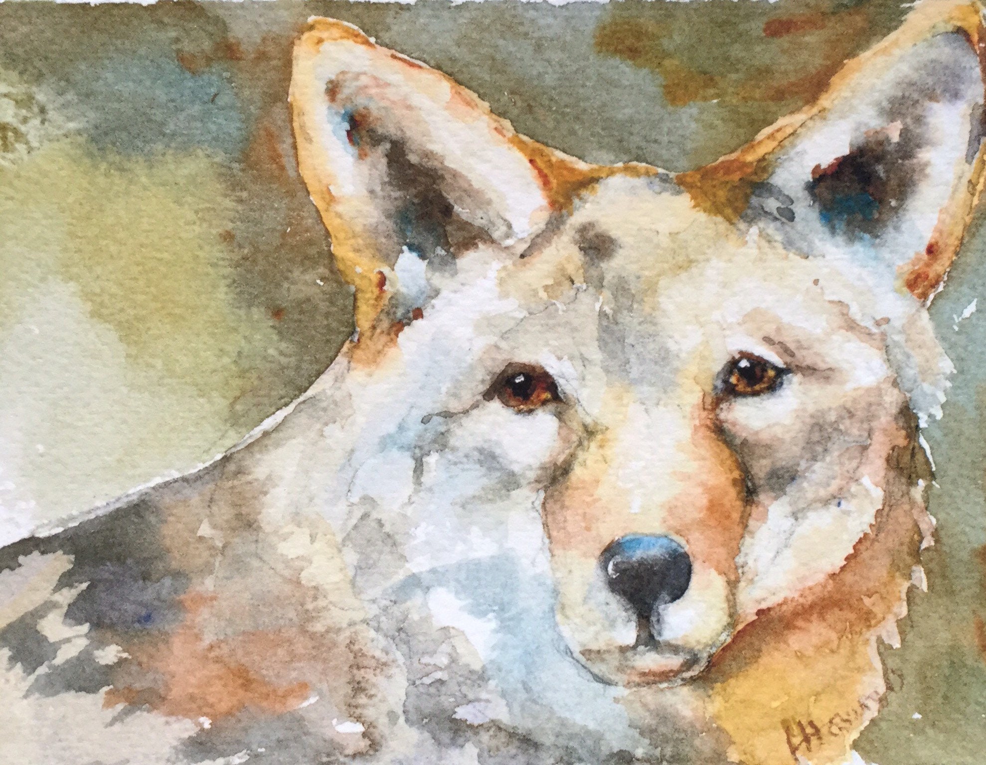 Watercolor Painting Print Coyote, Mancave Art, Home Decor - Etsy