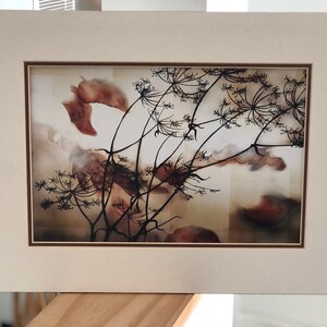 Elias Divan Brazilian Artist Fighting Roosters Print Signed Original ...