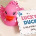Lucky Duck - Valentine's Day Card - Etsy