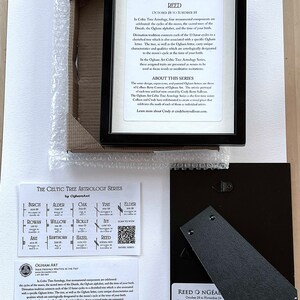 Reed & Ogham Letter Ngéadal | Celtic Tree Astrology - Etsy