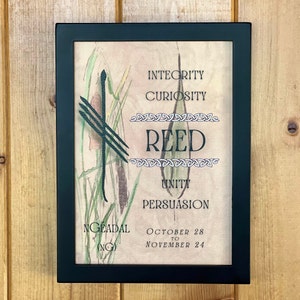 Reed & Ogham Letter Ngéadal | Celtic Tree Astrology - Etsy