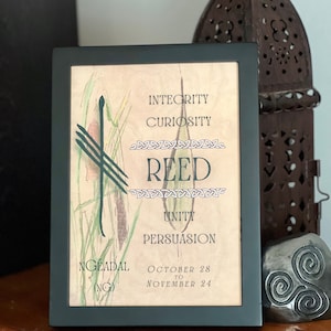 Reed & Ogham Letter Ngéadal | Celtic Tree Astrology - Etsy