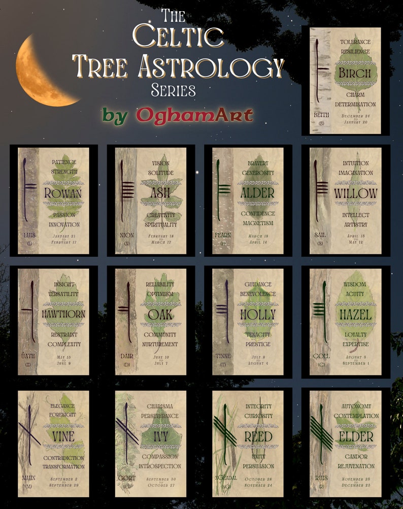 Reed & Ogham Letter Ngéadal | Celtic Tree Astrology - Etsy
