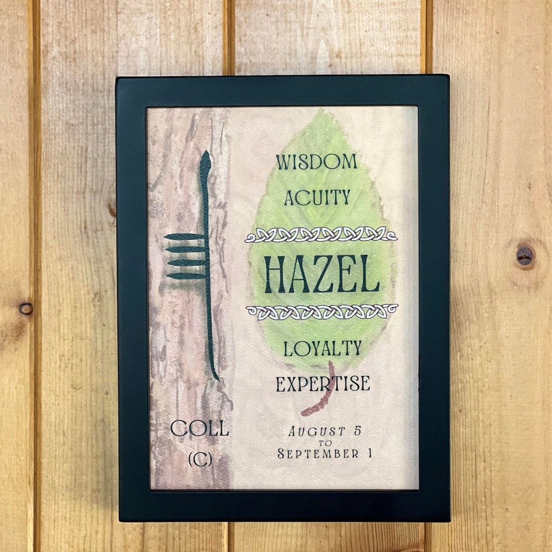Hazel Tree & Ogham Letter Coll | Celtic Tree Astrology - Etsy