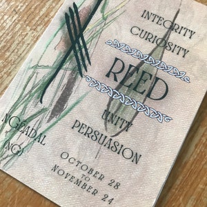 Reed & Ogham Letter Ngéadal | Celtic Tree Astrology - Etsy