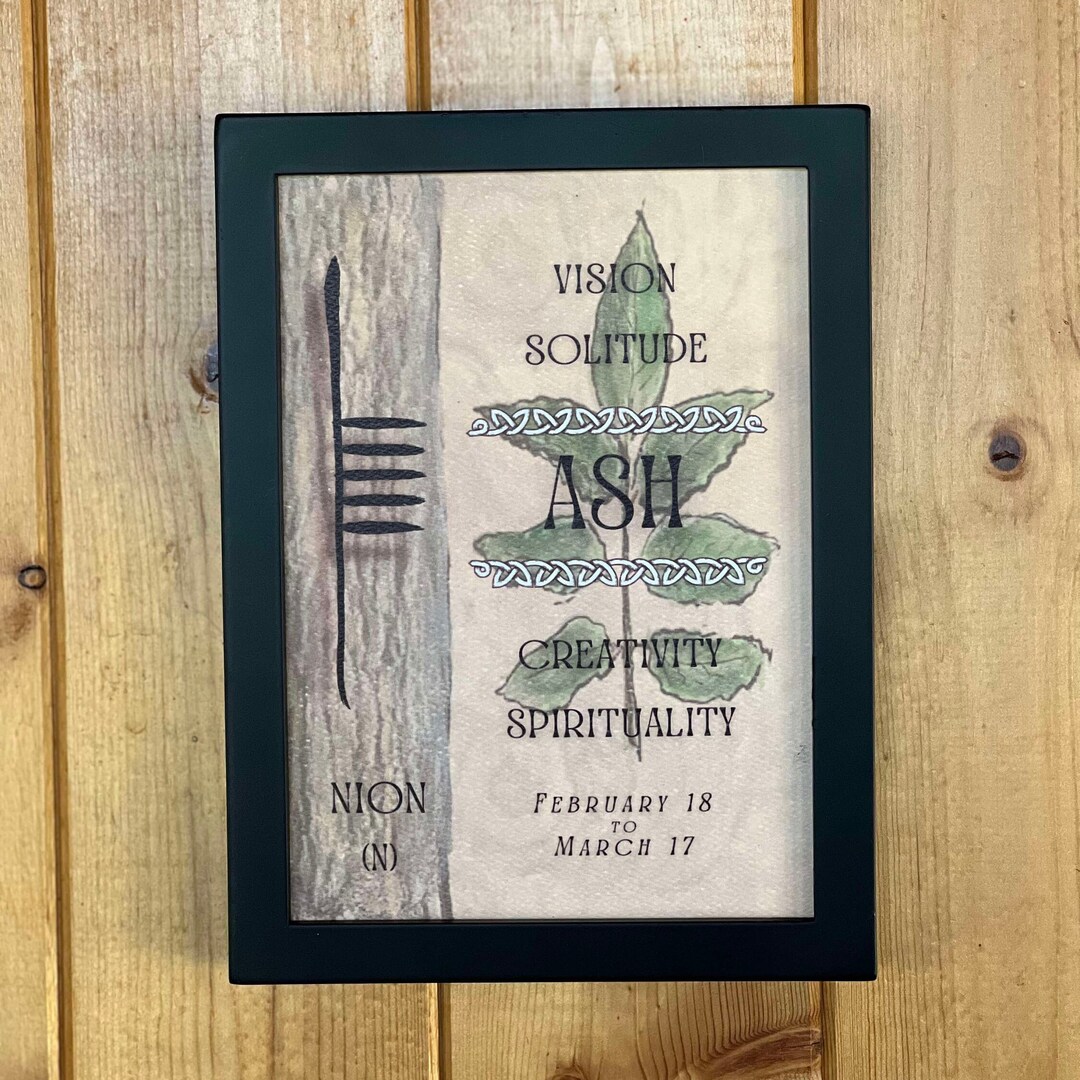 Ash Tree & Ogham Letter Nion | Celtic Tree Astrology - Etsy