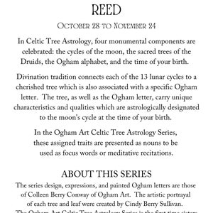 Reed & Ogham Letter Ngéadal | Celtic Tree Astrology - Etsy