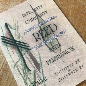 Reed & Ogham Letter Ngéadal | Celtic Tree Astrology - Etsy