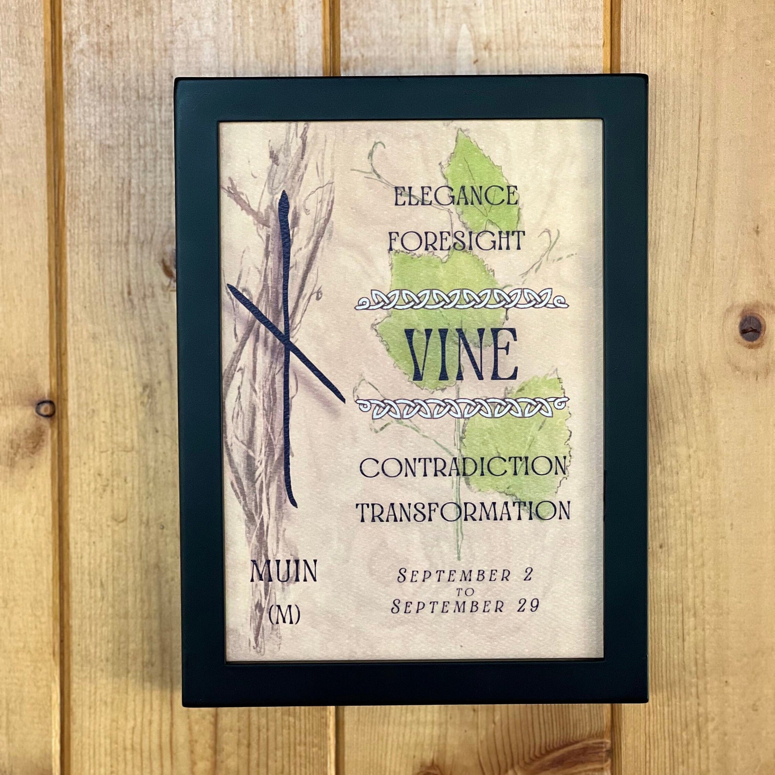 Vine & Ogham Letter Muin | Celtic Tree Astrology - Etsy