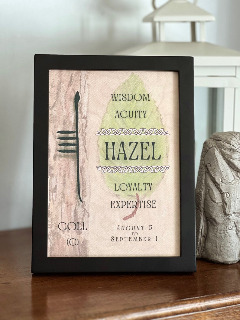 Hazel Tree & Ogham Letter Coll Celtic Tree Astrology - Etsy