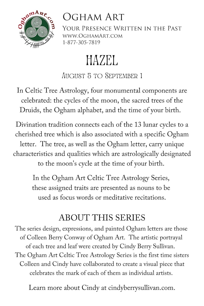 Hazel Tree & Ogham Letter Coll | Celtic Tree Astrology - Etsy