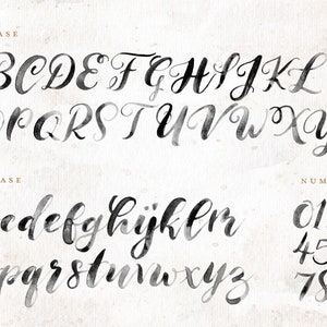 Handmaid SVG + Solid Watercolor Texture Font - Etsy
