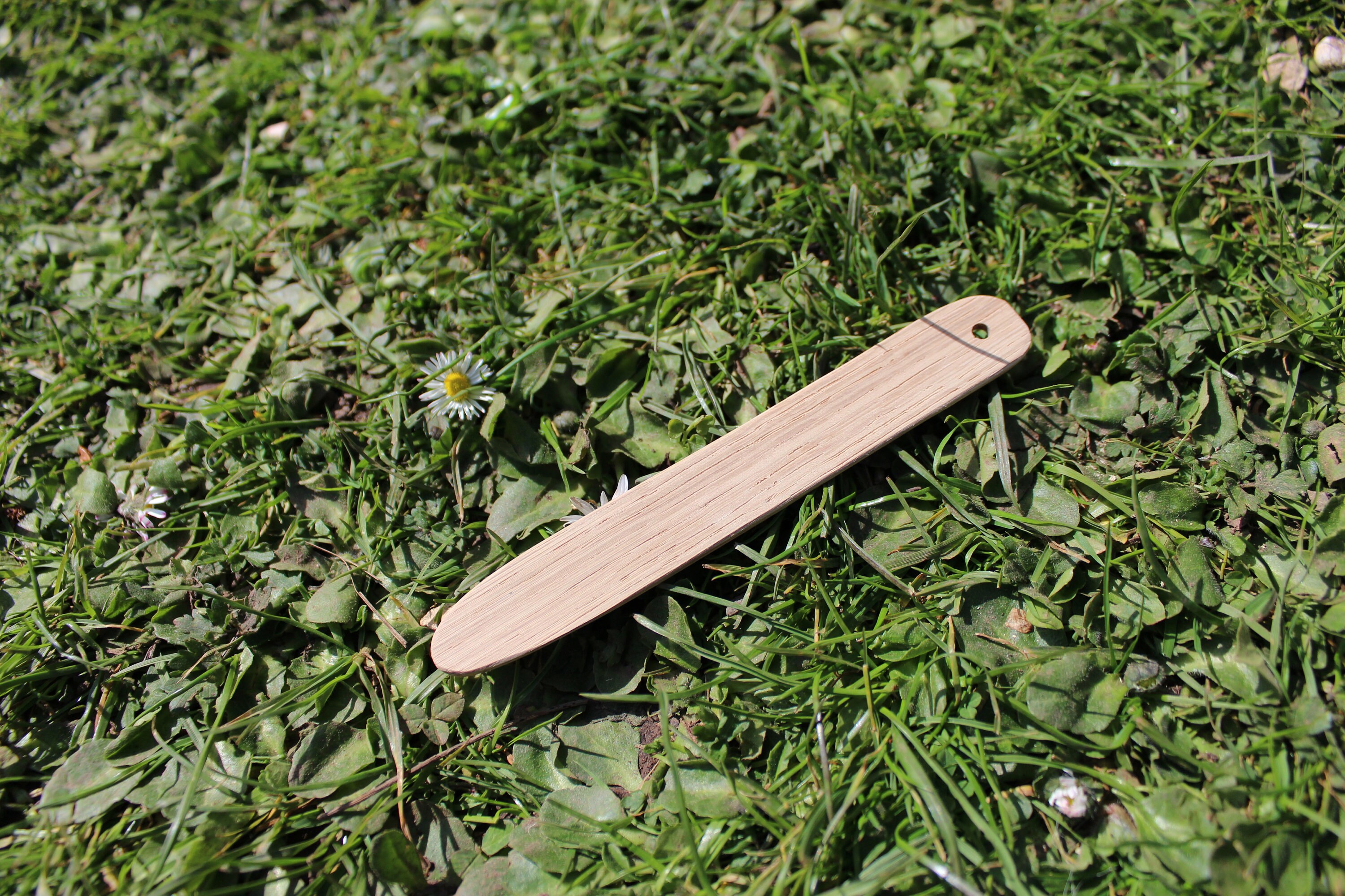 Set of Five Oak Plant Labels - Etsy