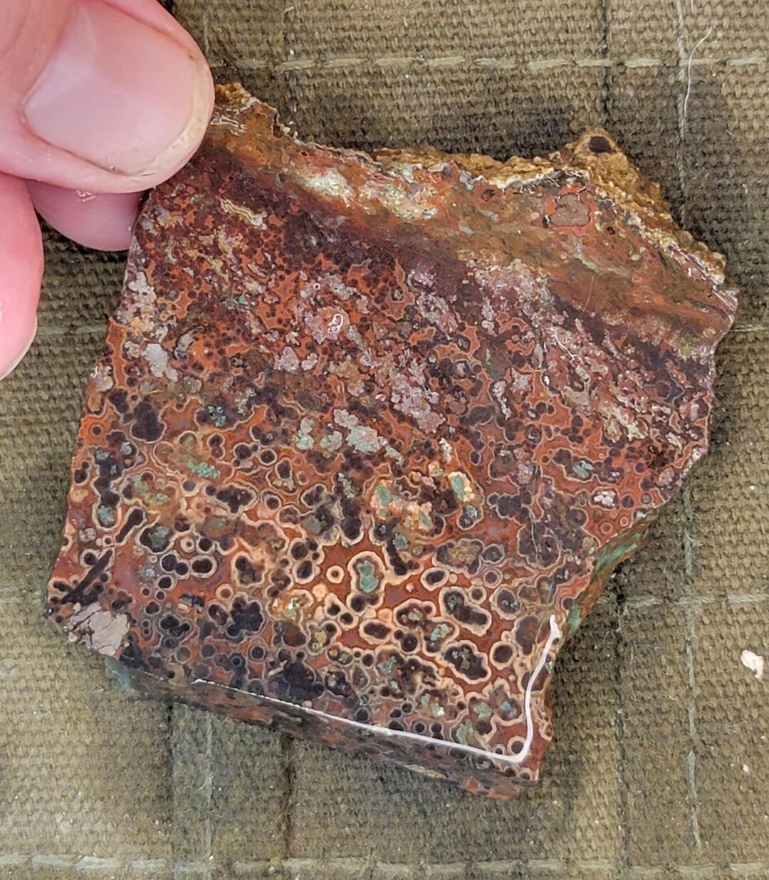 Orbicular Spotted Rock Slab - Etsy