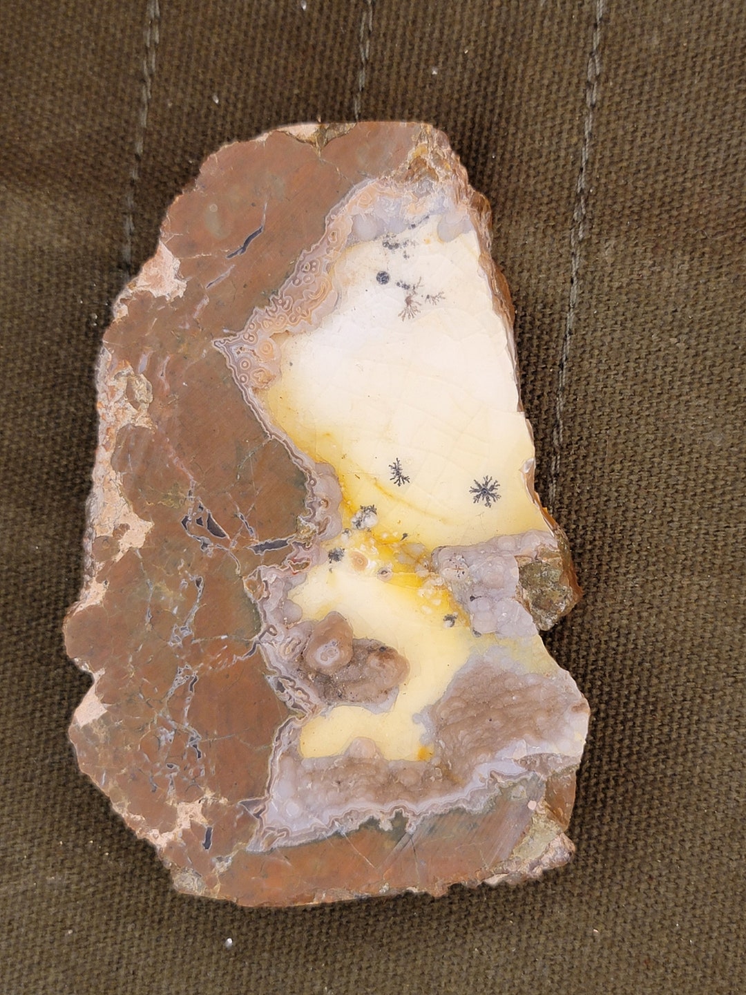 Opal Thunderegg Slab Display - Etsy