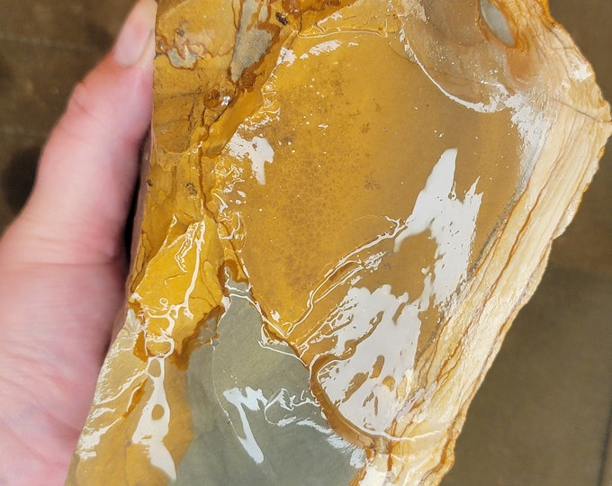 Large Wild Horse Picture Jasper Rough - Etsy