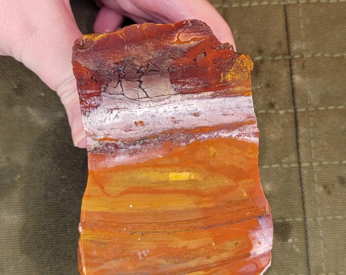 Montana Moss Agate Rough Rock - Etsy