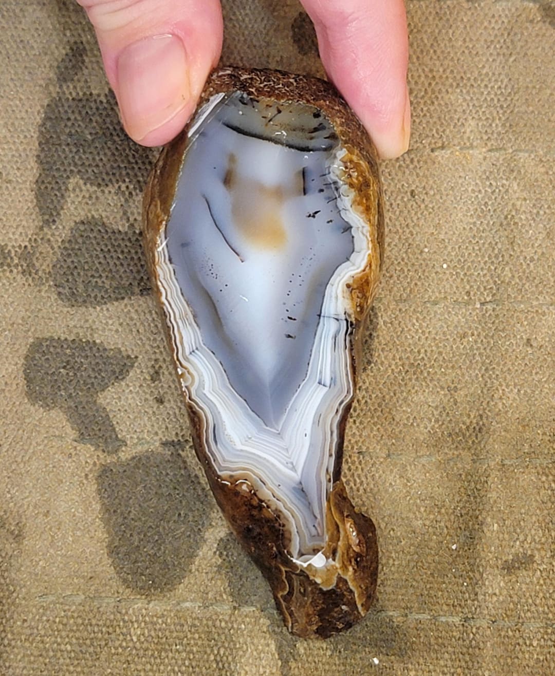 Thick India Blackskin Agate Slab - Etsy