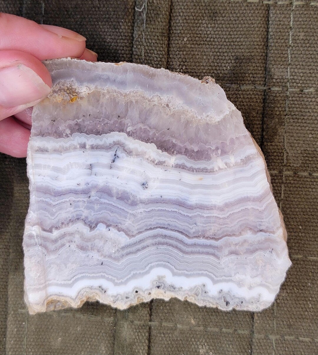 Sowbelly Agate Rough End Cut - Etsy
