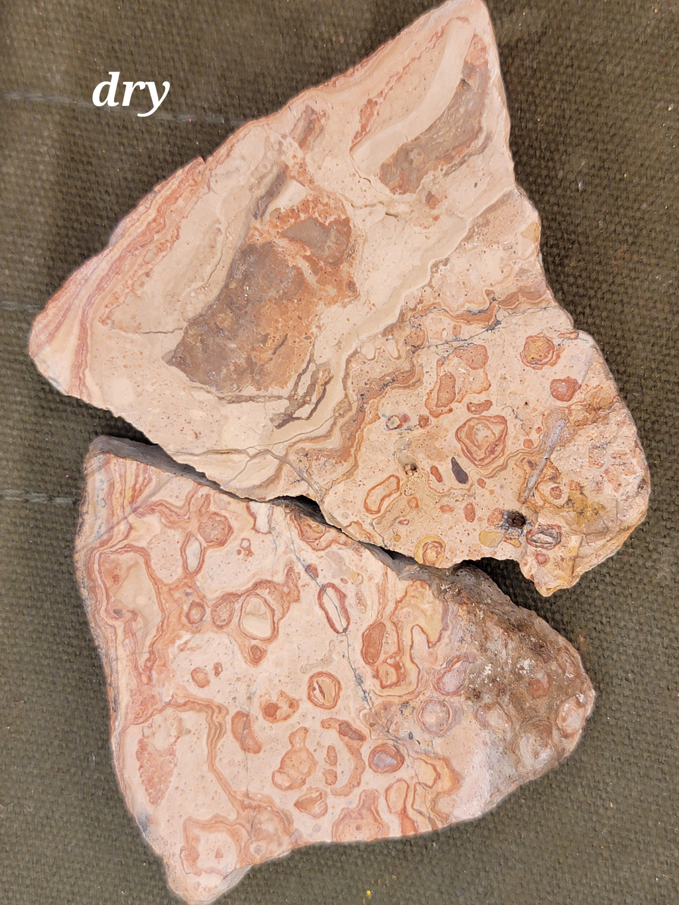Lot of 2 CALICHE Rough Slabs Lapidary Rock - Etsy