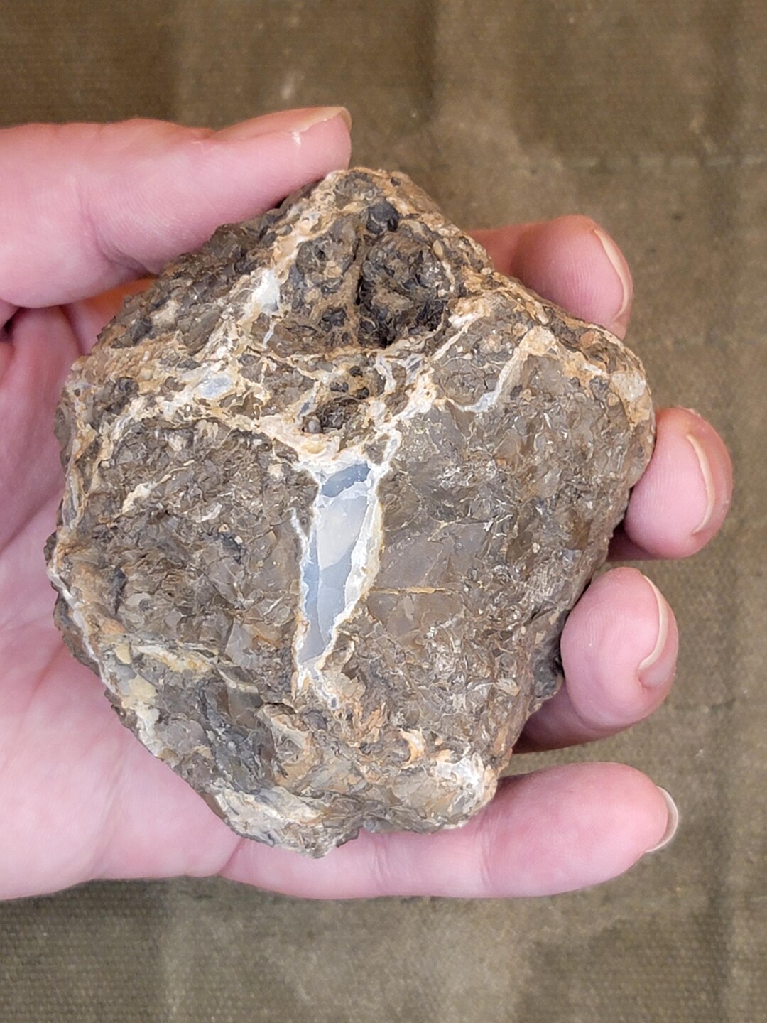 Uncut Whole Rough Thunderegg - Cut Your Own - Etsy