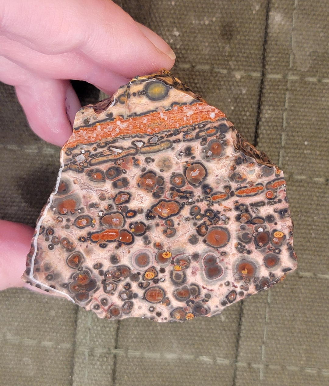 Leopardstone Rhyolite Rough Rock - Etsy