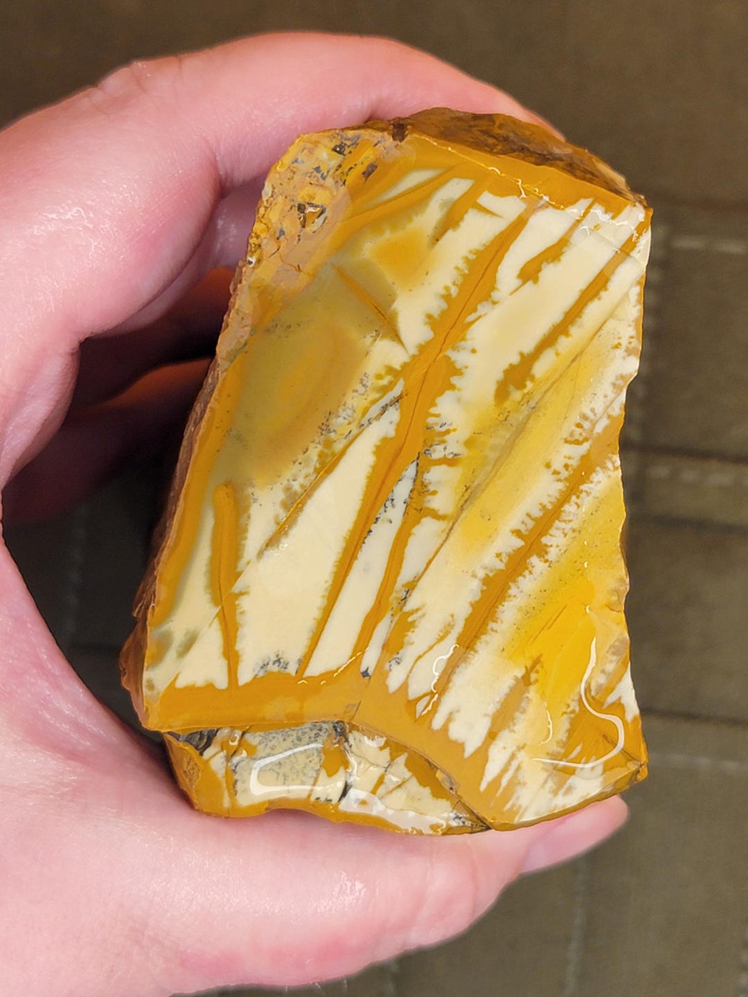 Owyhee Landscape Jasper Rough Rock - Etsy