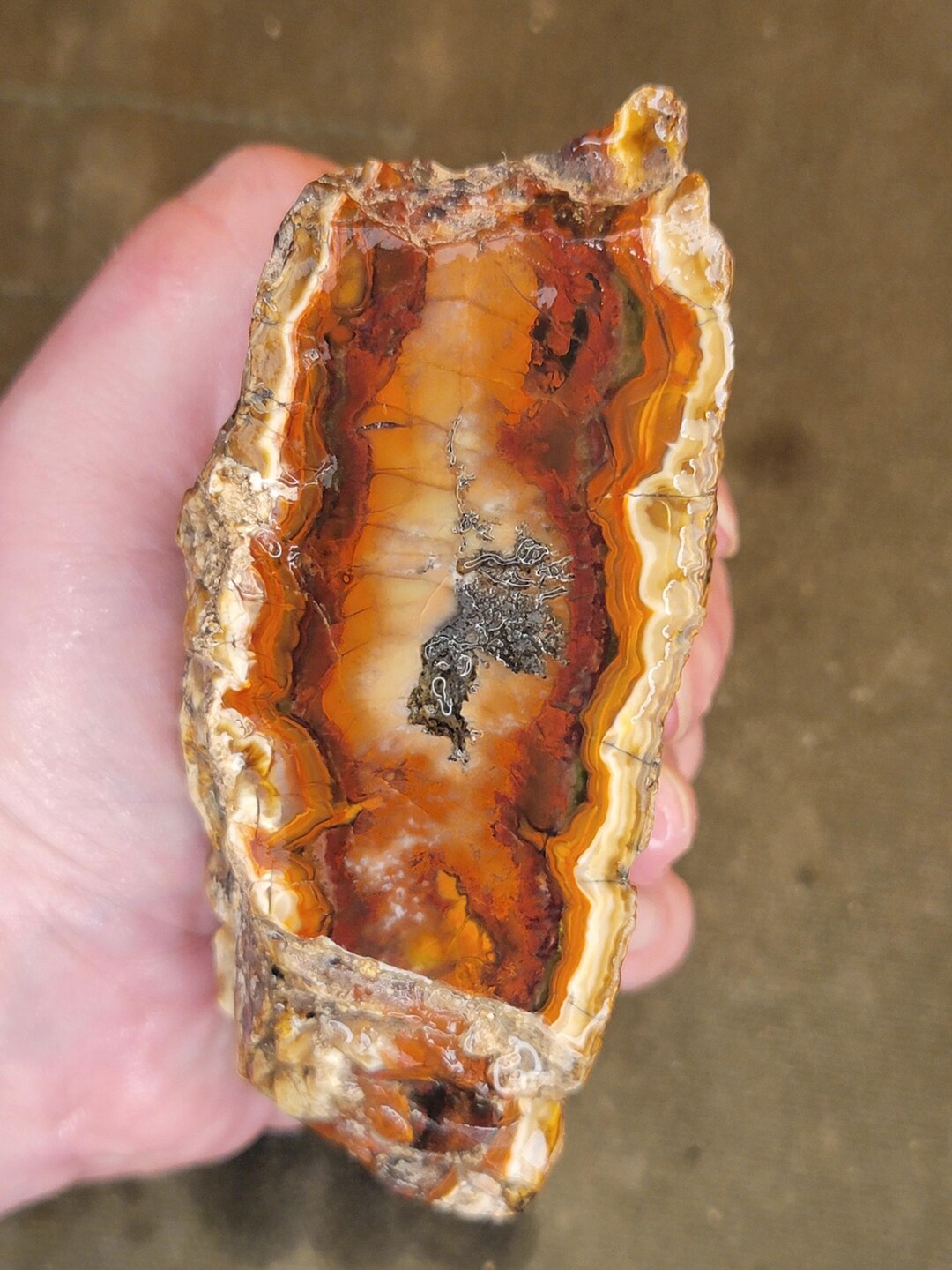 Rare Idaho Sunset Seam Agate / Jasper Rough - Etsy