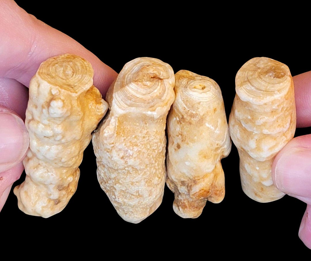 Cave Onyx Banded Calcite Rough Lot, Lapidary Gemstone Collecting ...