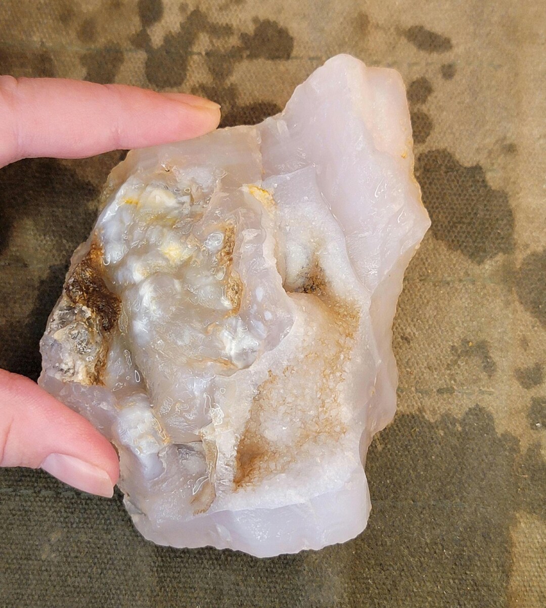 Agatized Paulina Limb Cast Fossil With Druzy - Etsy