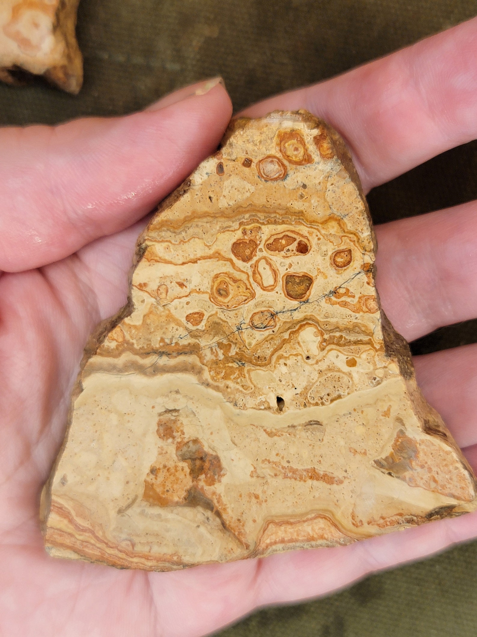 Lot of 2 CALICHE Rough Slabs Lapidary Rock - Etsy