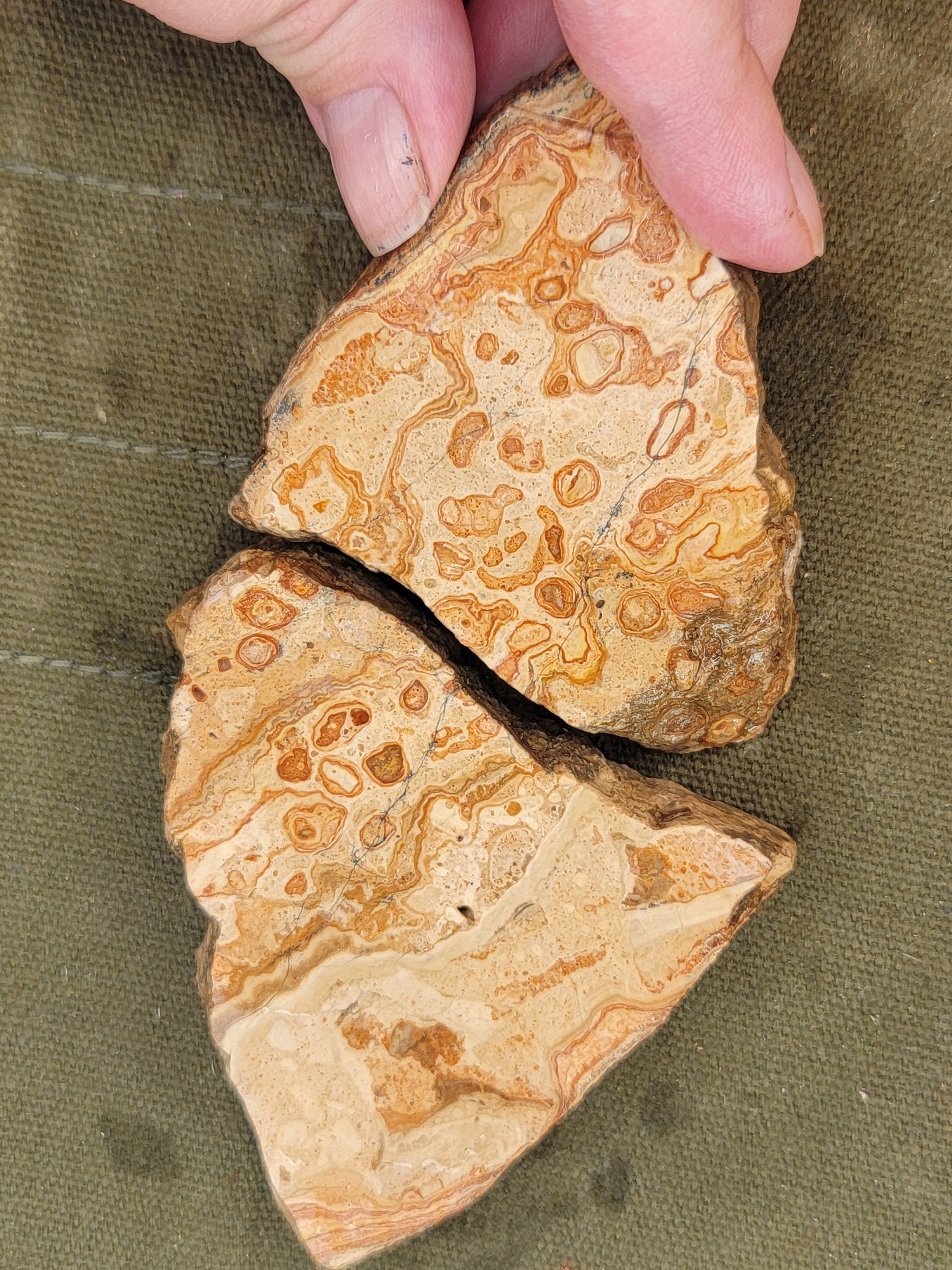 Lot of 2 CALICHE Rough Slabs Lapidary Rock - Etsy