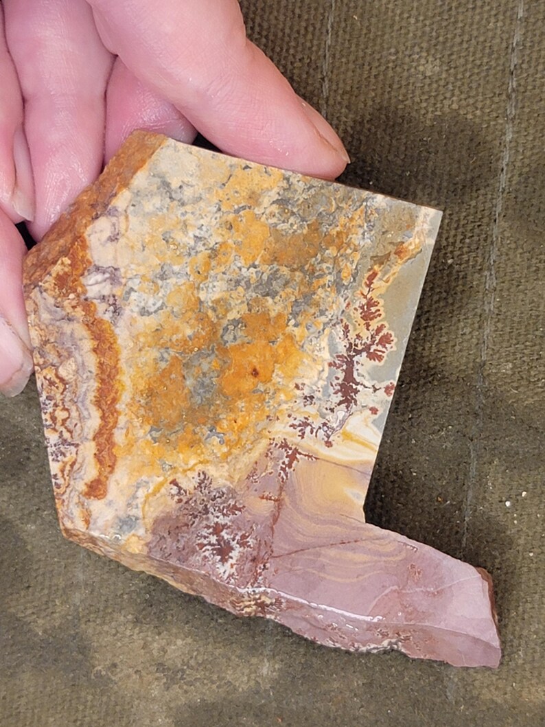 Sonoran Dendritic Jasper Slab | Rhyolite Slice From Mexico ...