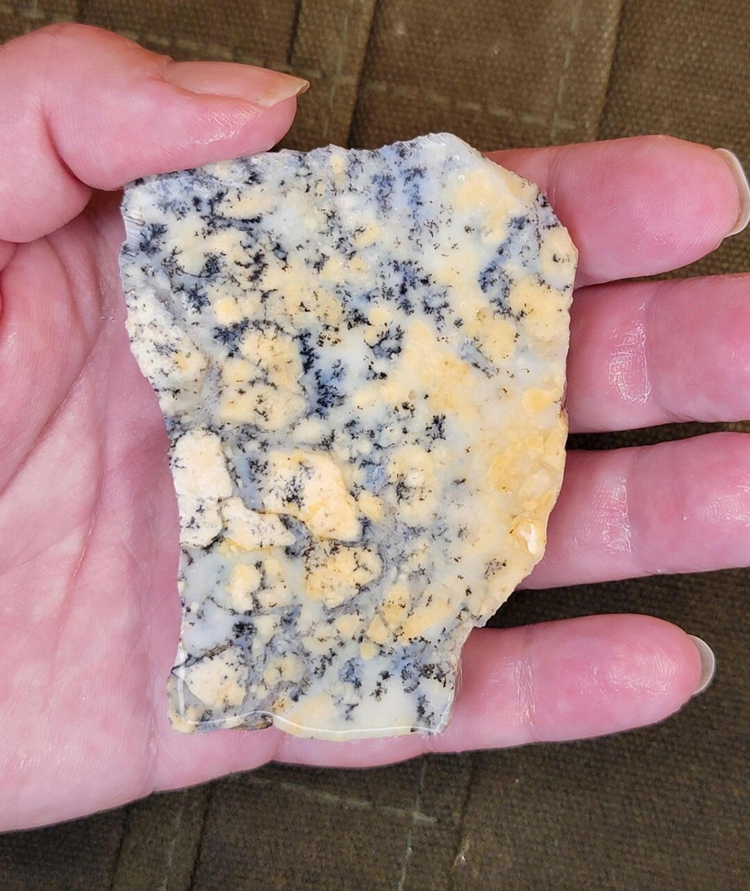 Dendritic Common Opal Rough Slab - Etsy