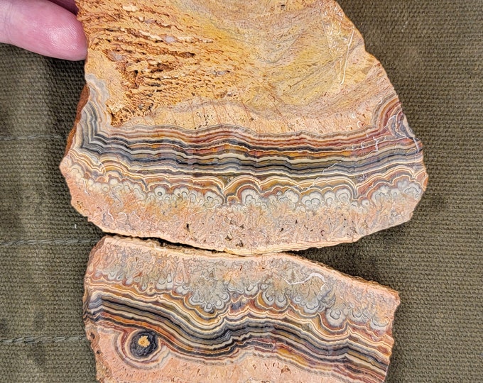 Lot of 2 FLOWERING TUBE ONYX Slabs - Banded Calcite - Lapidary Rough ...