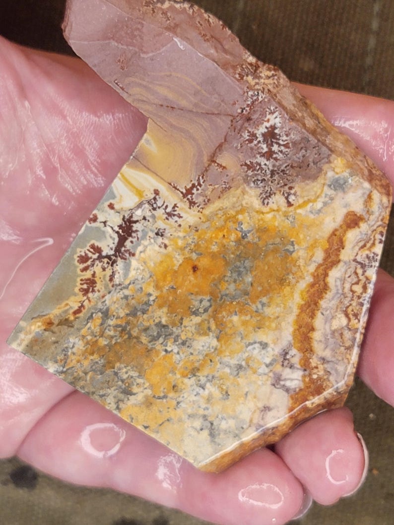 Sonoran Dendritic Jasper Slab | Rhyolite Slice From Mexico ...