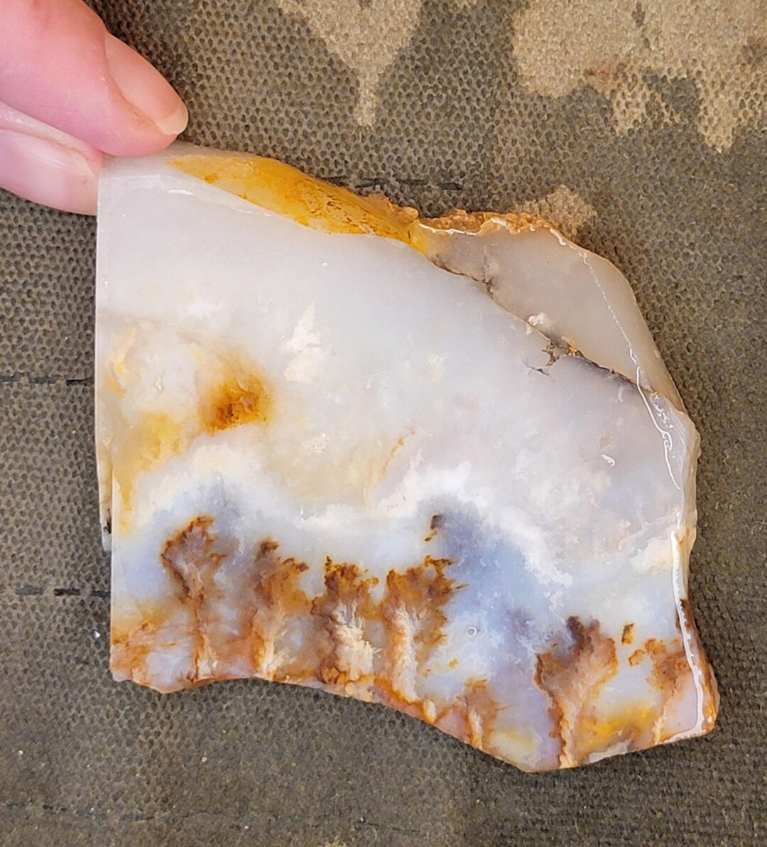 Graveyard Point Plume Agate Rock Slab - Etsy