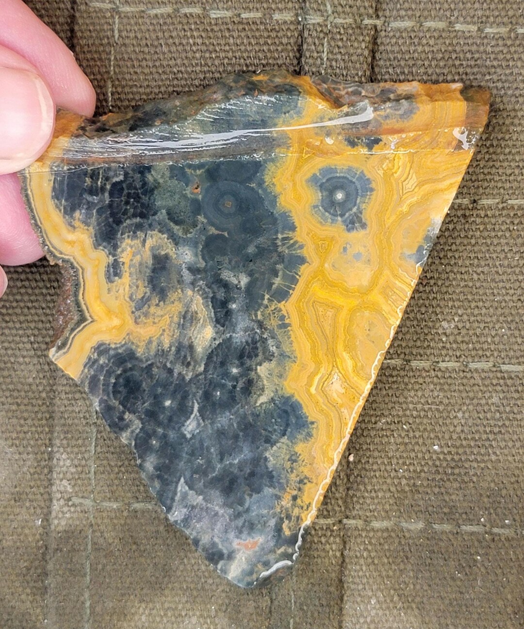 Orbicular and Banded Jasper Agate Slab - Rough Rock Slice - Etsy