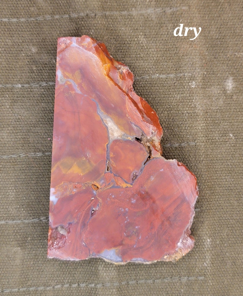 Thick RED BRECCIATED JASPER Slab Lapidary Rough Rocks - Etsy