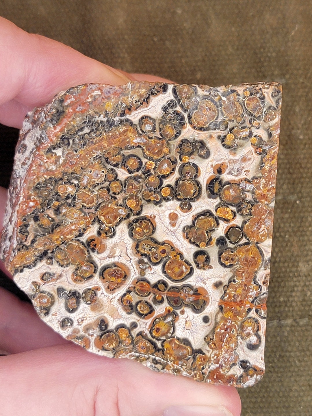 LEOPARDSTONE LEOPARDSKIN JASPER Polished Faced Rough Lapidary Rock - Etsy